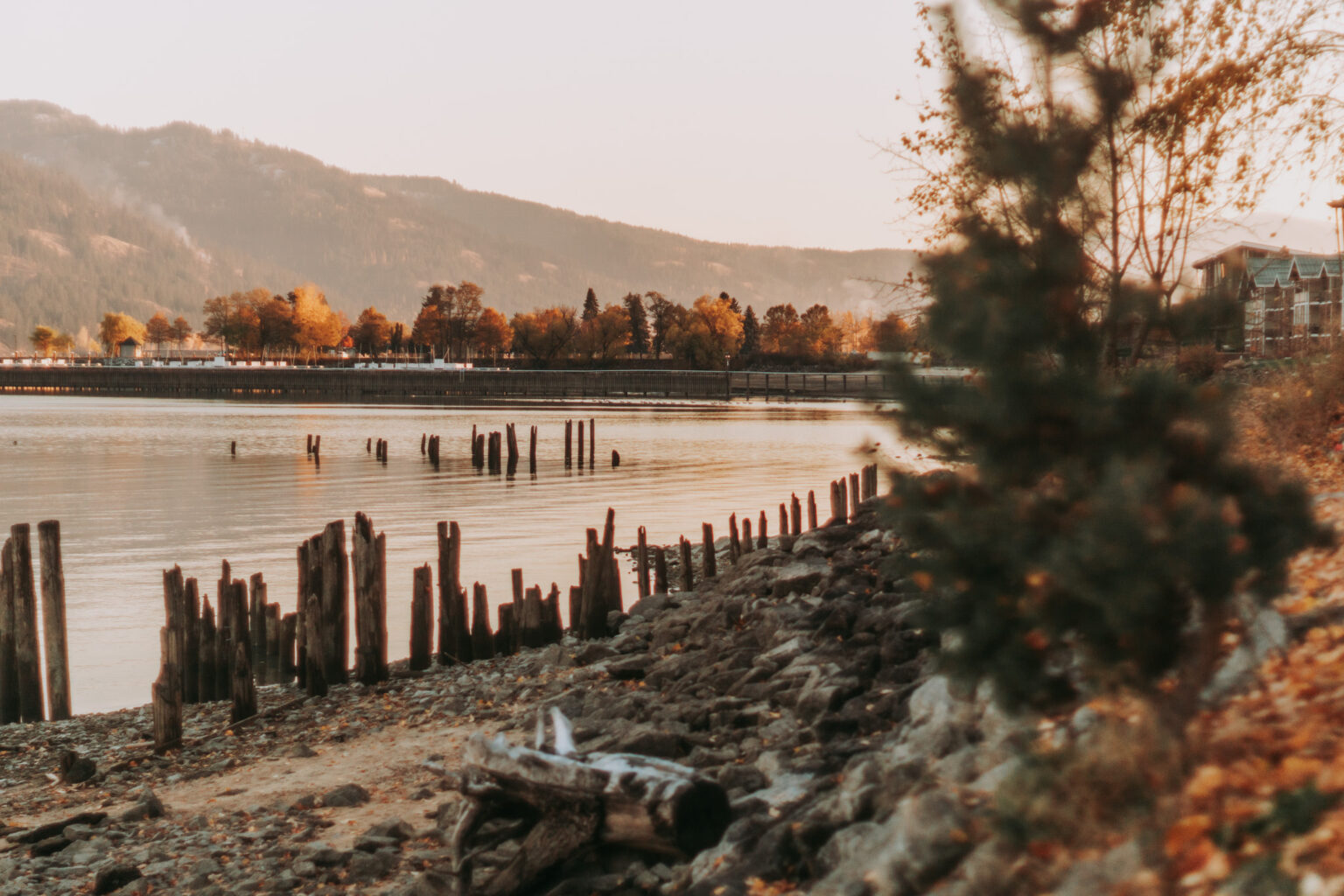 Welcome to Sandpoint – Welcome to Sandpoint—Discover local businesses ...